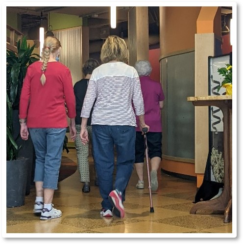 Senior Steps | My AL!VE